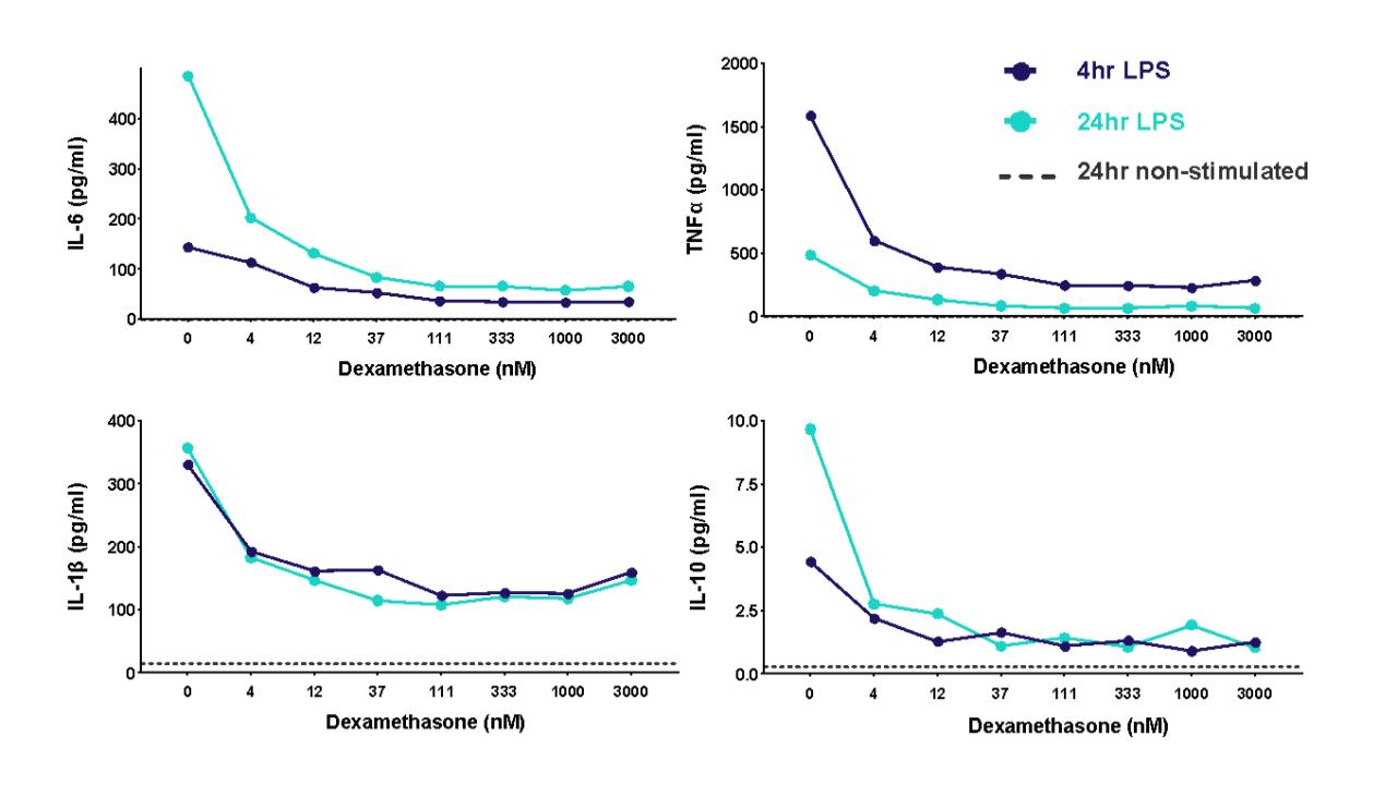 Inflammation Archives - Nexus BioQuest
